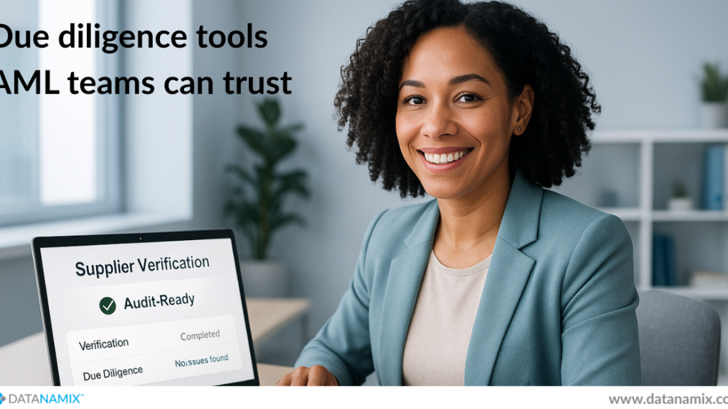 Why AML teams need audit-ready due diligence - Datanamix - News and ...